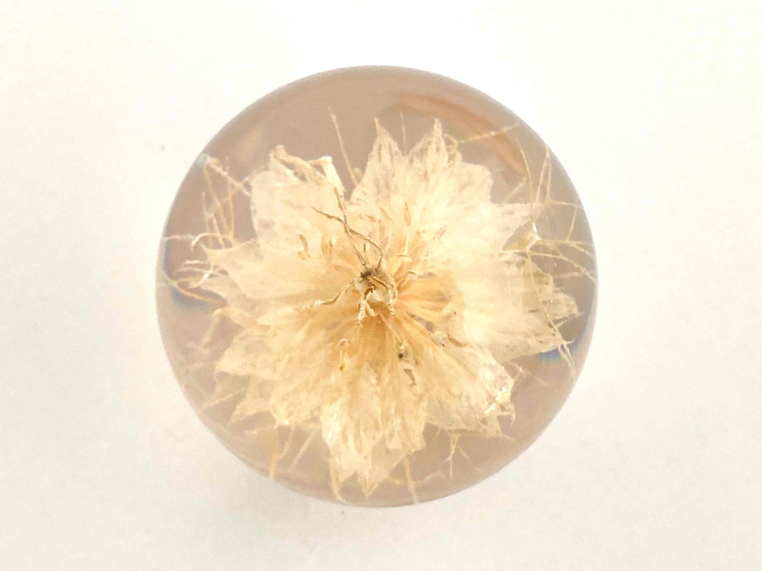 Resin Paperweight - Vintage & Modern