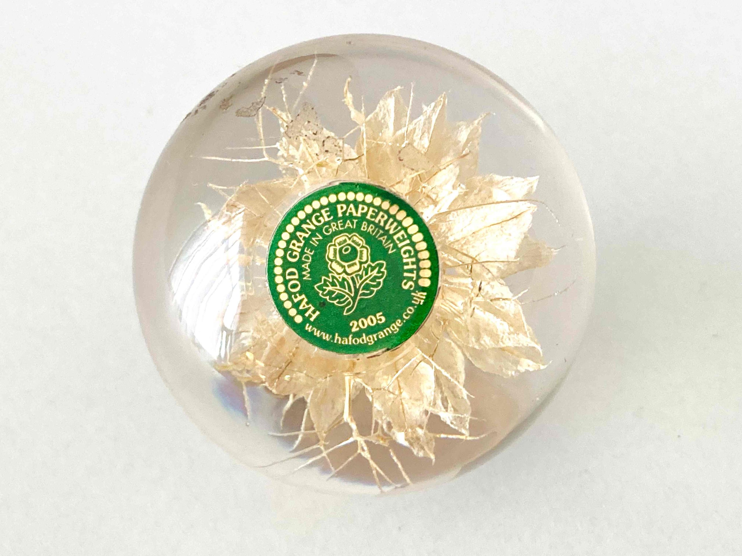 Resin Paperweight - Vintage & Modern