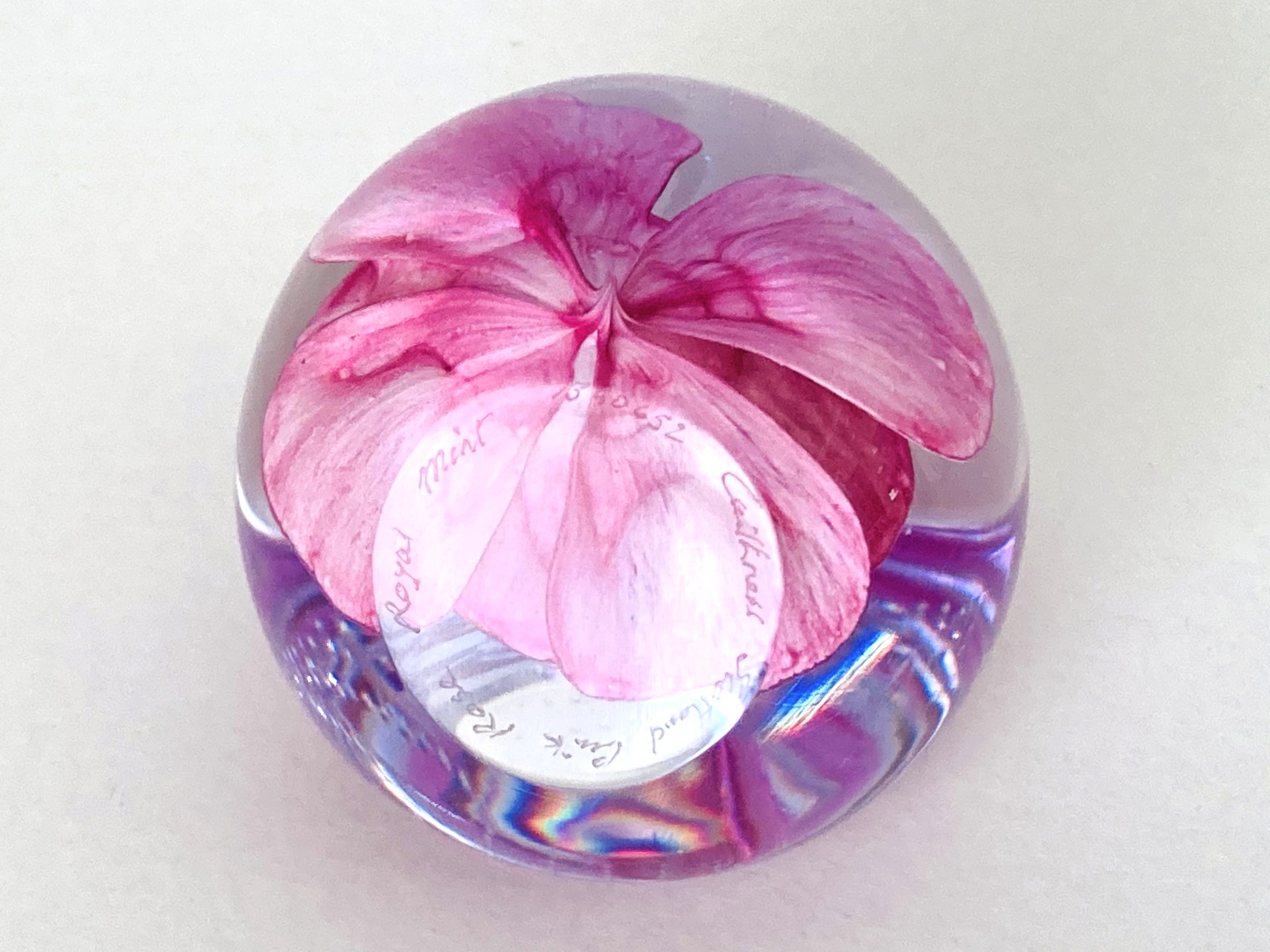 Caithness Glass Paperweight, "Pink Rose" - Vintage & Modern